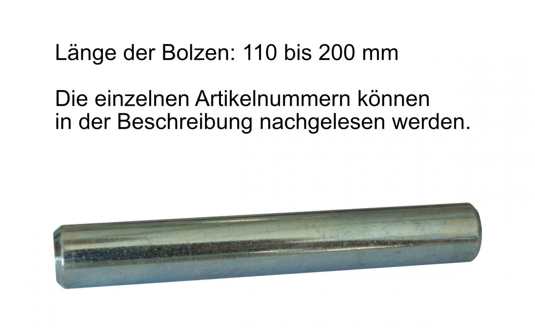 Projekte | Die Holzkappe